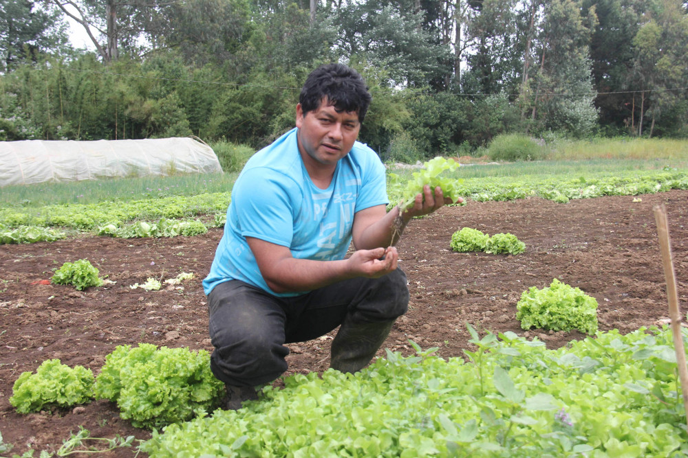 Pope to hear from indigenous about ministry, land rights in Chile, Peru ...