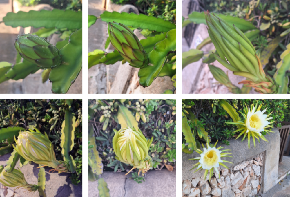 'Signs of life everywhere': Old ways, new ideas sustain religious life ...