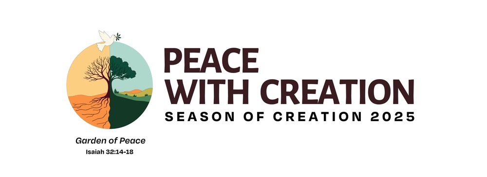 Peace and care for creation are linked, dicastery says | National ...