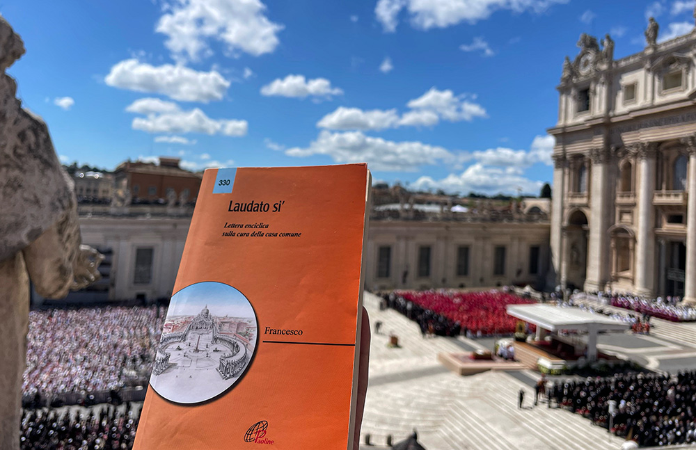 Laudato Si': A drop in the ocean or a powerful oceanic undercurrent? It ...