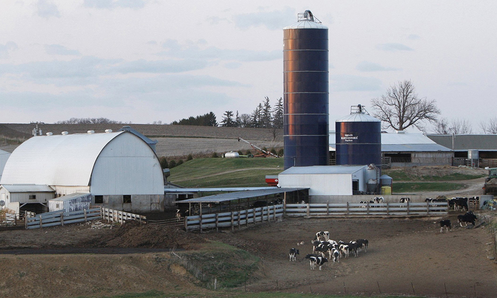 Rural Catholics can help the whole church appreciate land as a gift ...