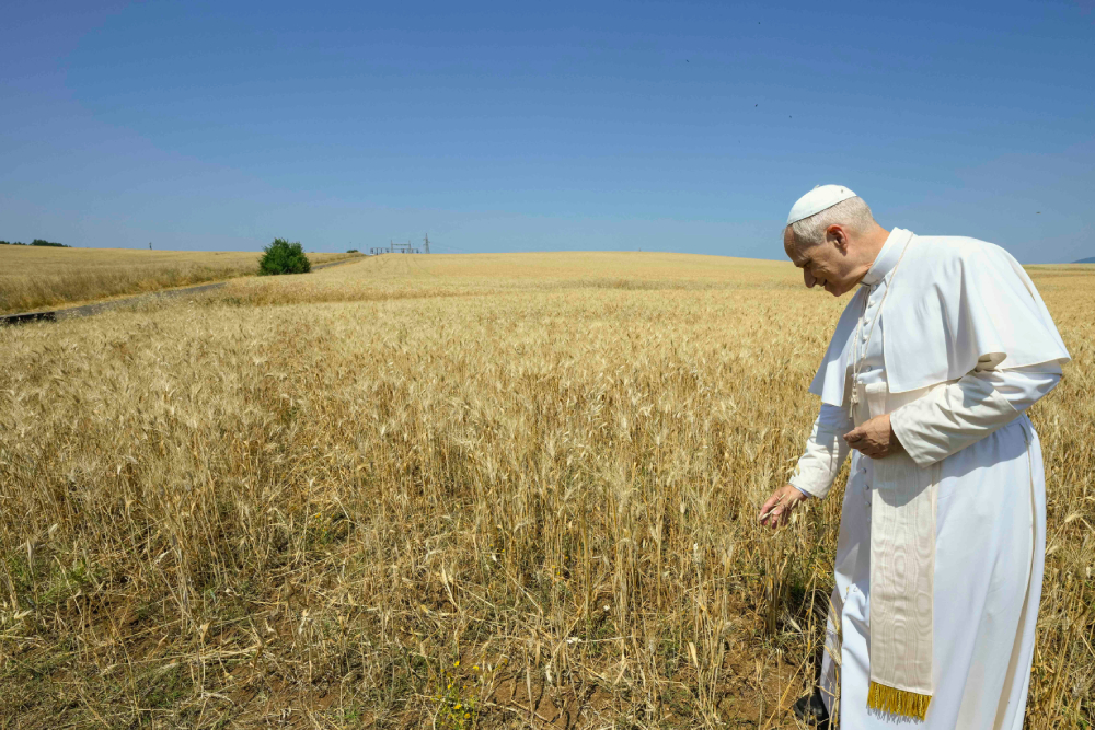 World court ruling raises Catholic teaching on creation care to legal ...