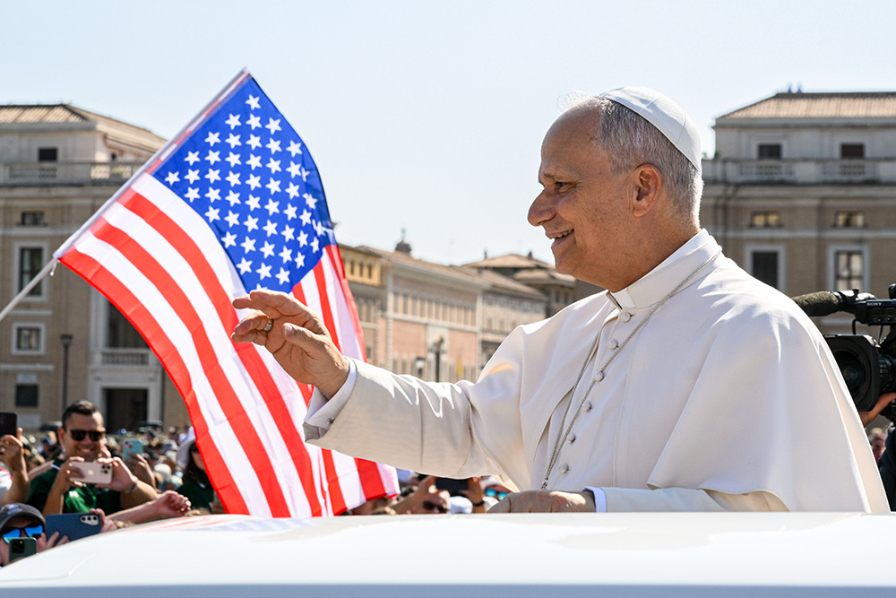 Pope Leo XIV more favorable than Trump in new NBC News poll | National ...