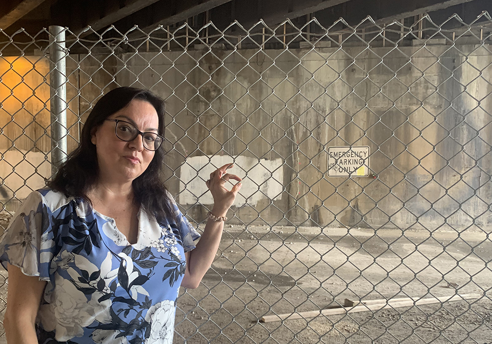 Whatever happened to Chicago's 'Our Lady of the Underpass'? | National ...