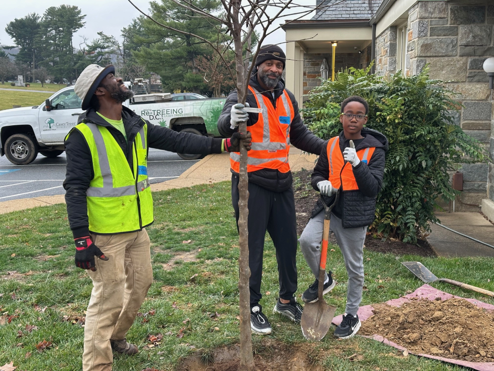 Laudato Trees program in DC Archdiocese plants its 1,000th tree ...