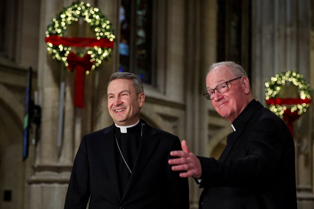 NY Catholics hope new archbishop Hicks will continue Laudato Si ...