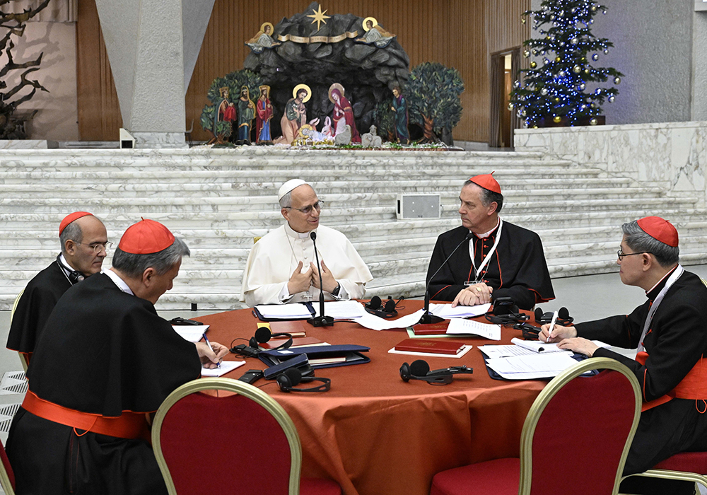World's cardinals set mission, collaboration as priorities in rare ...