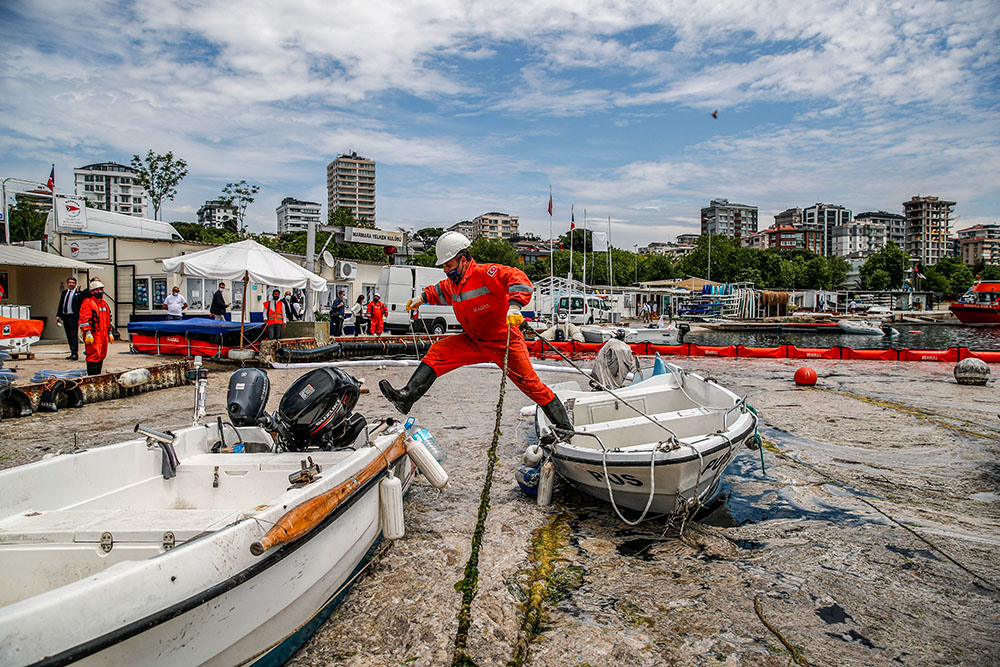 Istanbul's 'sea snot' is a test case for ecological sin | National ...