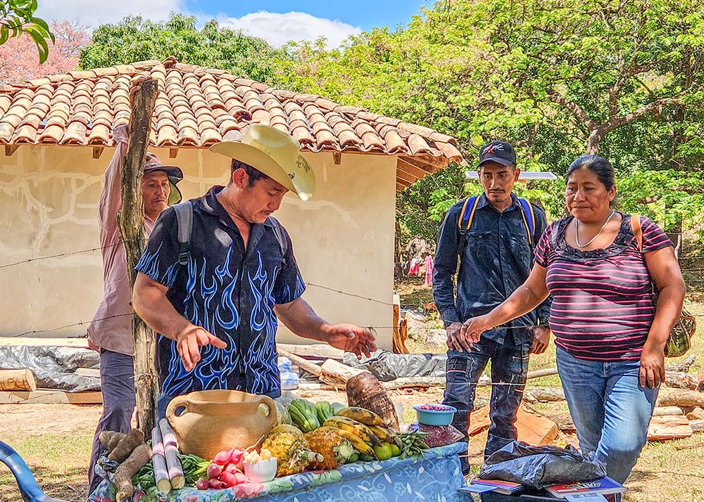 Green Climate Fund partnership opens access to millions for Catholic ...