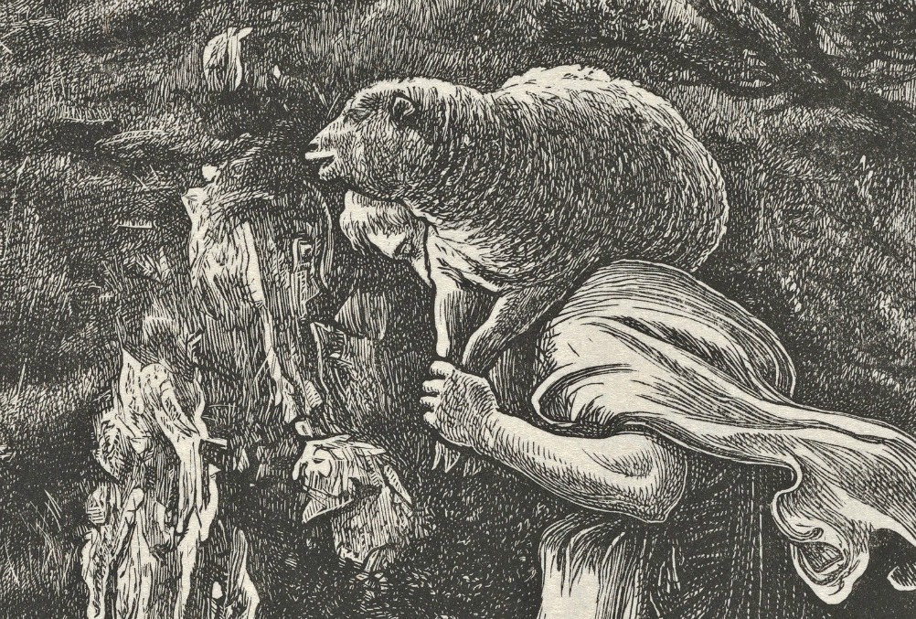 Twenty-Fourth Sunday in Ordinary Time: Rejoice to find what was lost ...
