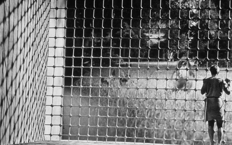 It's not easy being an incredible shrinking man | National Catholic ...