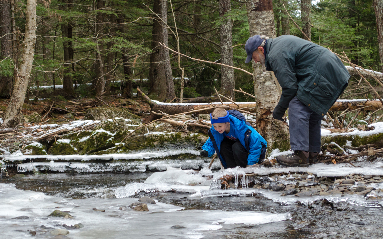 Gather the light of ecological guidance: one Quaker's perspective ...