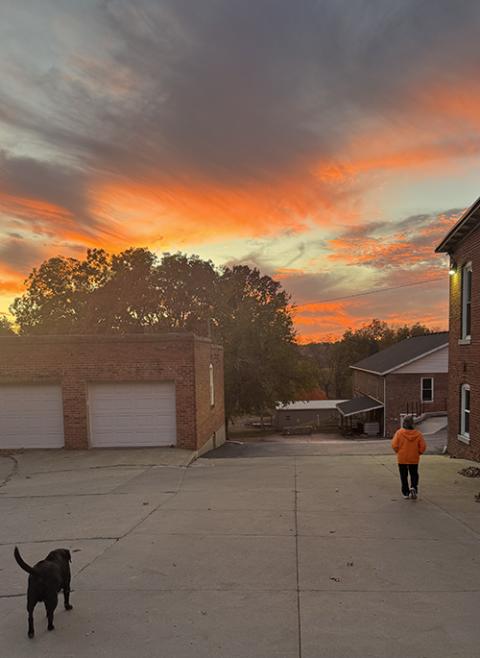 'God's Grandeur' shines in our care for creation | National Catholic ...
