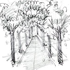 Spreading trees | National Catholic Reporter