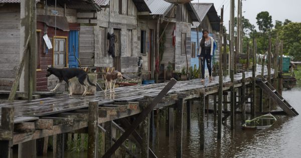 In the Amazon's borderlands, 'you have to be prepared' for anything ...