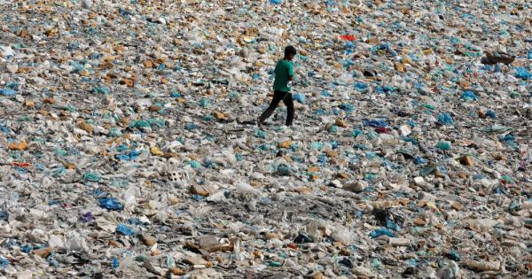 What is ecological sin? | National Catholic Reporter