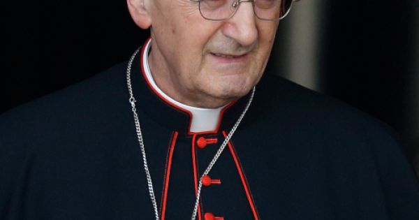 Parishes are not 'businesses' that can be led by anyone, cardinal says ...