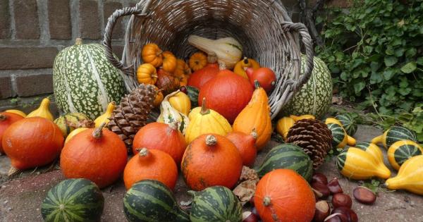 Indigenous traditions teach us giving thanks is a circular motion ...