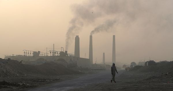 Twenty-Third Sunday in Ordinary Time: Our wounded creation | National ...