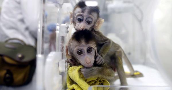 Animal welfare groups hail FDA decision to lift animal testing ...