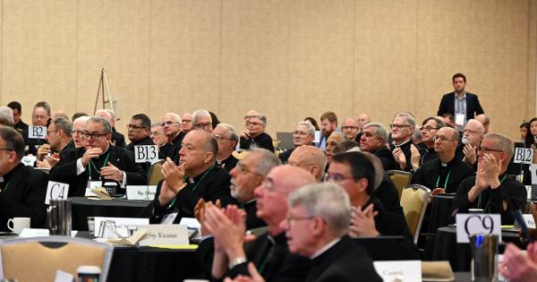 The US Catholic bishops' spring meeting, or Clericalism 101 | National ...