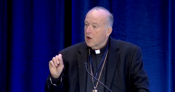Cardinal McElroy: Women and men religious can lead synodal shift ...