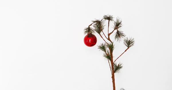 How Charlie Brown's Christmas tree brings us back to Earth | National ...