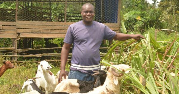 With farming initiative, Nigerian priest aims to increase local protein ...