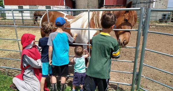 Hands, heads and hearts of mercy at the Merciful Heart of Jesus Farm ...