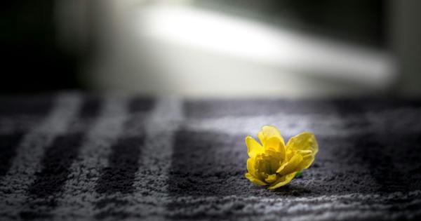 The return of laughter signifies return of hope | National Catholic ...