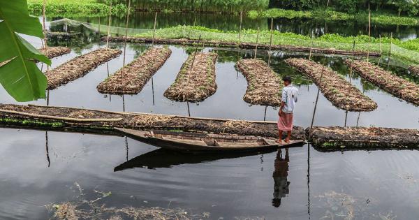 As seas rise, farmers in Bangladesh are growing crops on the water ...