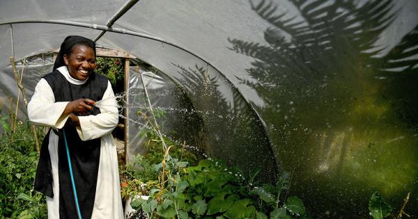 Vatican program to turn Laudato Si' words into environmental action ...
