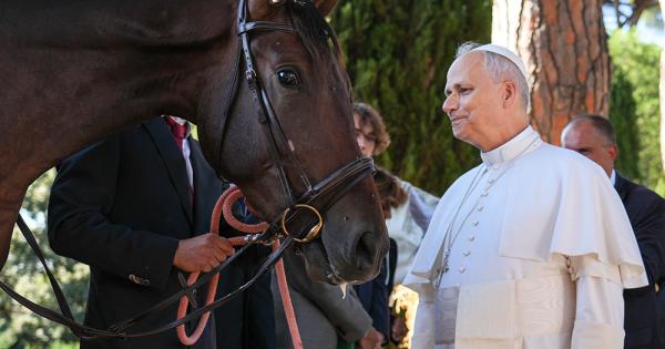 Legacy of 'green' papal teaching takes root at Vatican ecology center ...