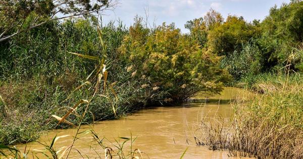 Oct. 12, 2025: Twenty-Eighth Sunday in Ordinary Time | National ...