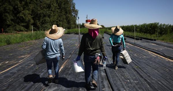 Citizenship for undocumented US residents is not charity, but an ...