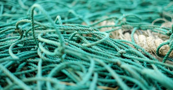 Language and life with migrant workers in a South Korean fishing ...
