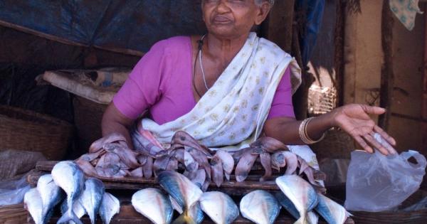 Protect fishing from predatory practices, lethal economy, cardinal says ...