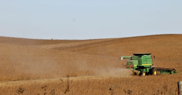 Tariffs and tension: Midterm concerns in Iowa show rural-urban split ...