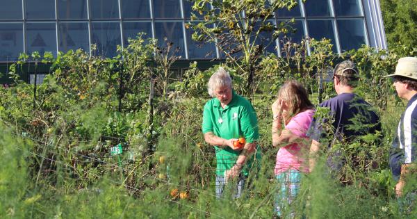Franciscan Sisters give NCR $1.5 million to help 'wake up the world ...