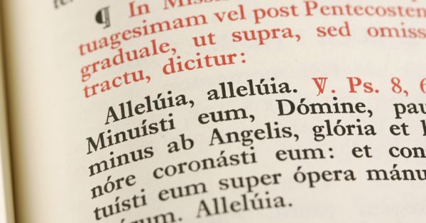 Restorationism brings traditionalist approaches to parish life ...