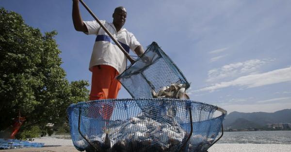 Safeguarding creation expected as major theme at Rio's World Youth Day ...