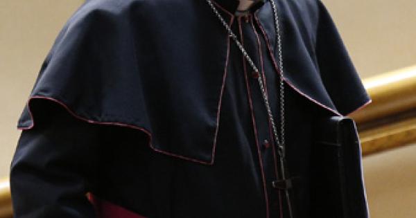 Colleague describes cardinal-designate from Mozambique as 'true pastor ...