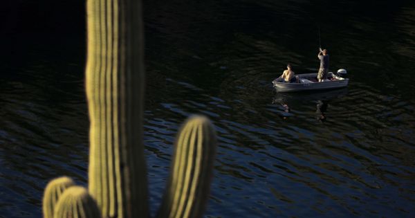 Border wall could disrupt ecosystems, biodiversity | National Catholic ...
