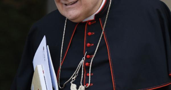 Updated: Cardinal Burke confirms Vatican ouster | National Catholic ...