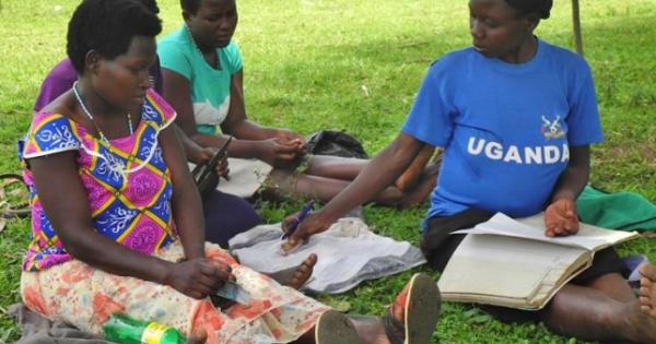 Microfinance, savings groups seed success for Uganda farmers | National ...