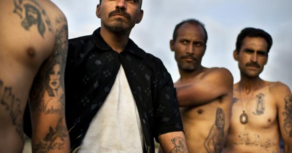 'Narco Cultura' explores the meaning of the war on drugs | National ...