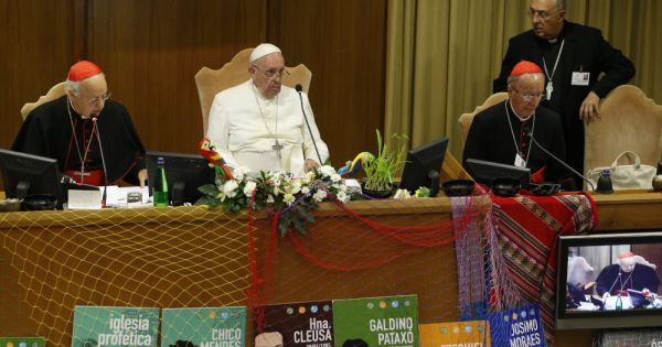 The Amazon synod is about the concept of social sin, not married ...