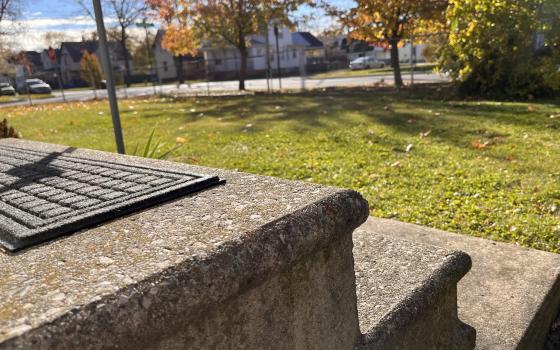 Encyclical on environment stimulates hope among academics and activists ...